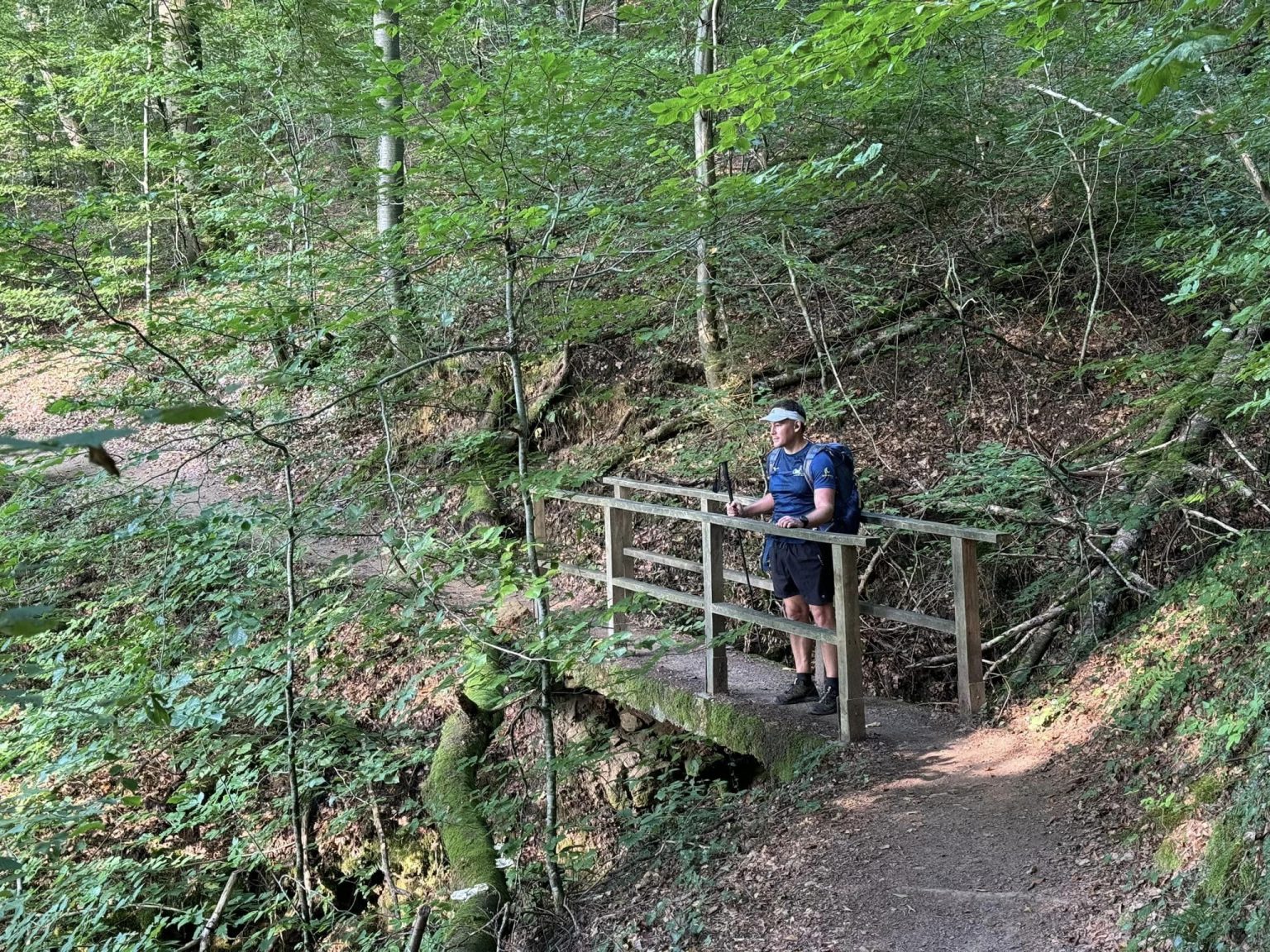 The Mullerthal Trail Luxembourg | Self-Guided Complete Guide - Lee